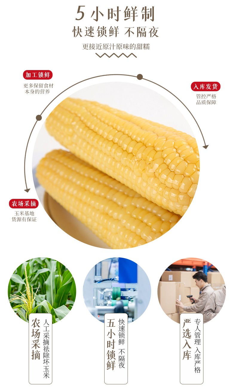 甜糯玉米 邯郸市兆辉生物科技有限公司 产品名录 国际食品展食品饮料展sial国际食品和饮料展览会（深圳）